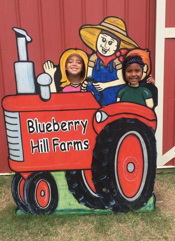 Blueberry Hill Farm & Nursery Edom, Texas – Adventures of Seri and Abi
